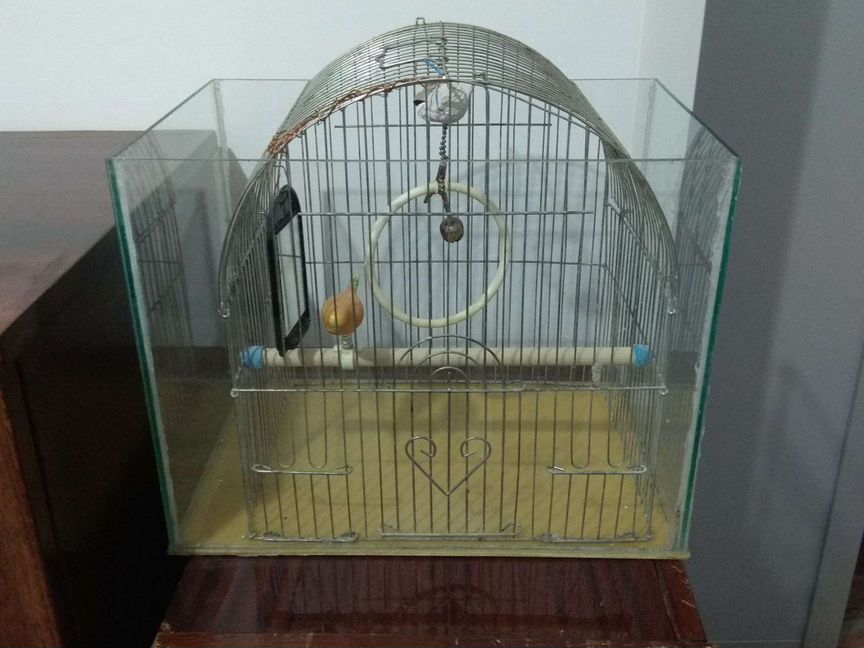 Клетка для попугая или аквариум