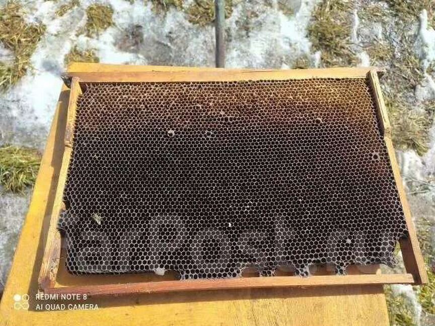 Сушь для пчёл