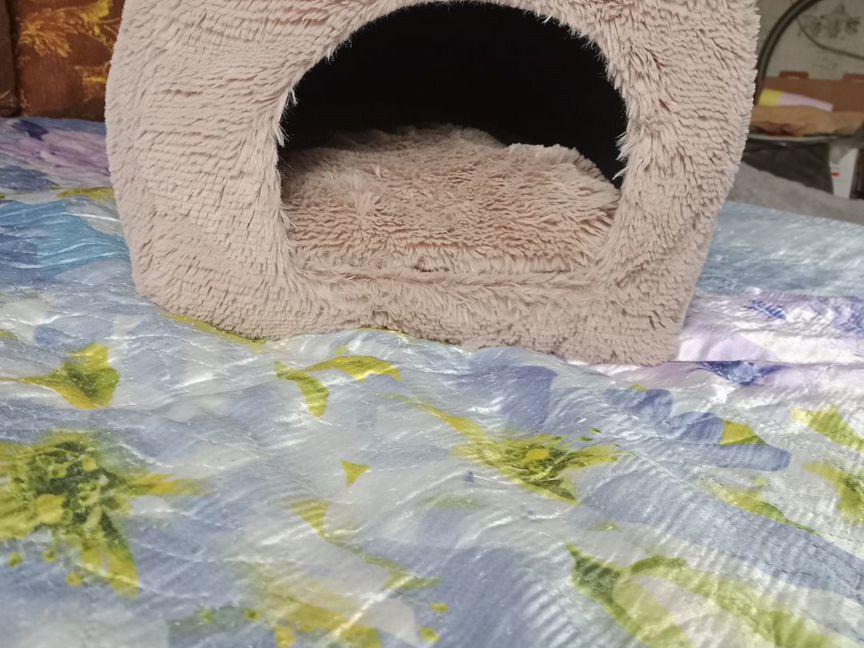 Лежанка и одежда для кошек