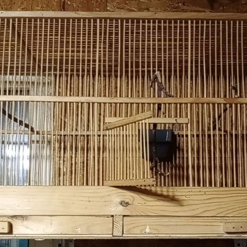 Большая клетка для птиц