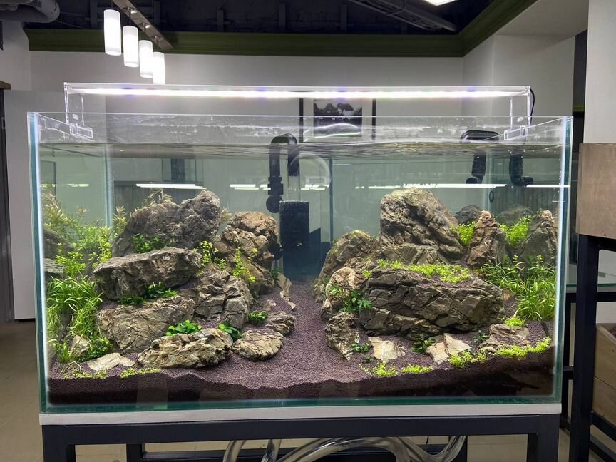 Аквариум под заказ