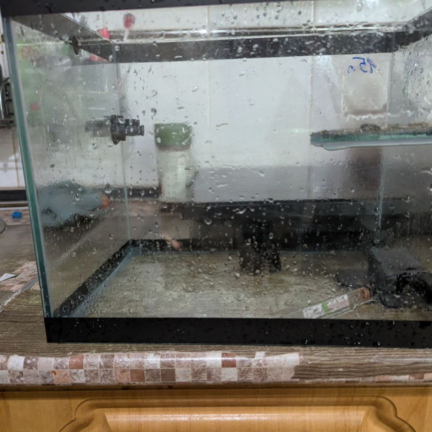 Аквариум для черепах 15 литров