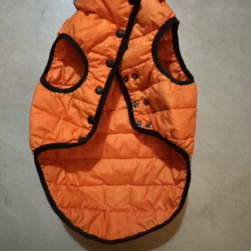 Жилетка для собак