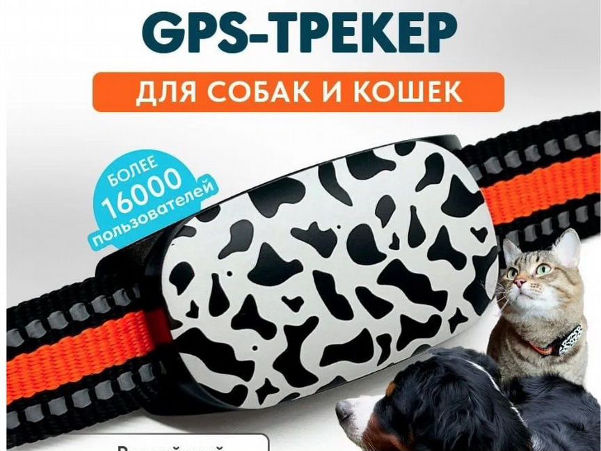Gps tracker для кошки