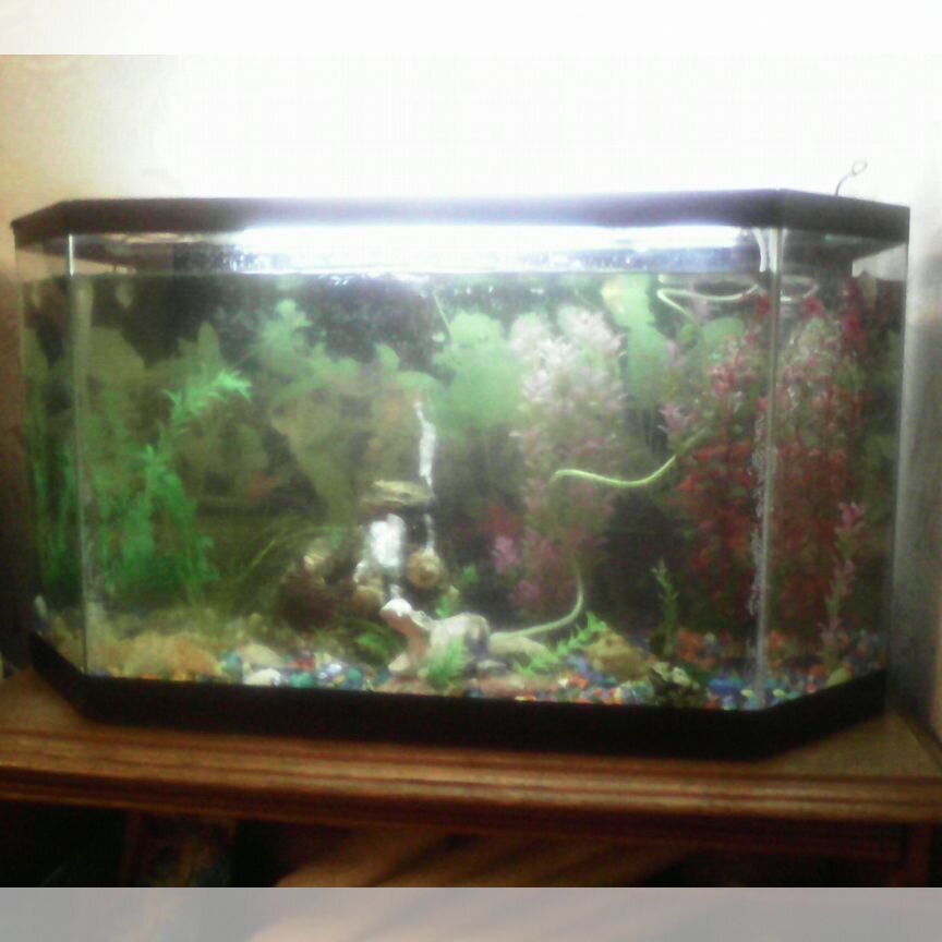 Аквариум 120 литров