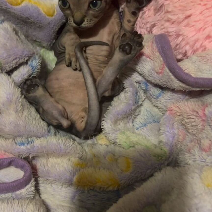 Девочка канадка