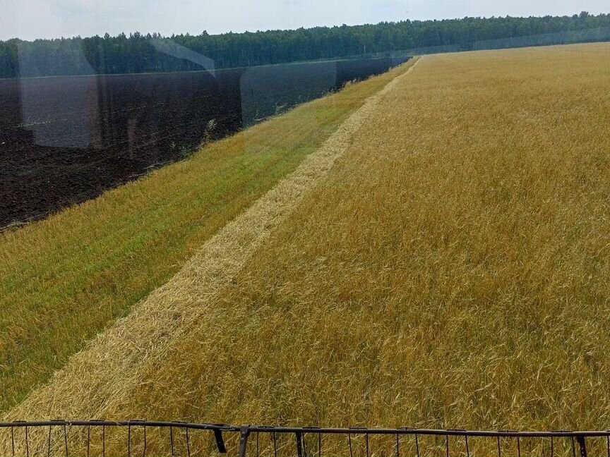 Зерно пшеница ячмень овес комбикорм