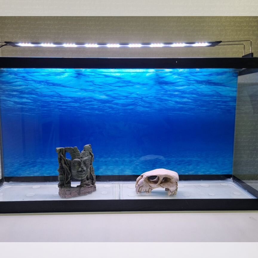 Аквариум на 200 литров