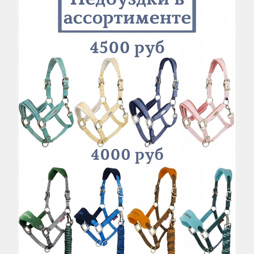 Вальтрапы и недоуздки от LeMieux