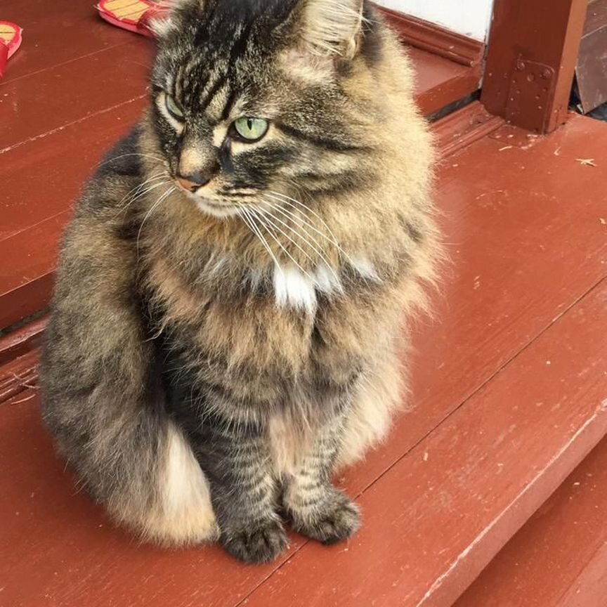 Подарим ему жизнь