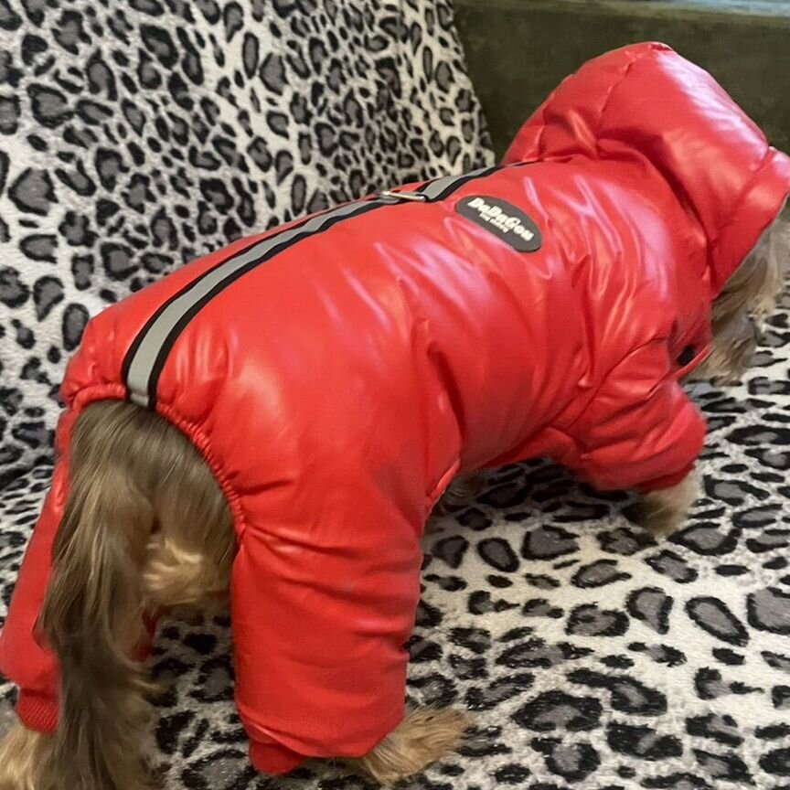 Одежда для собак