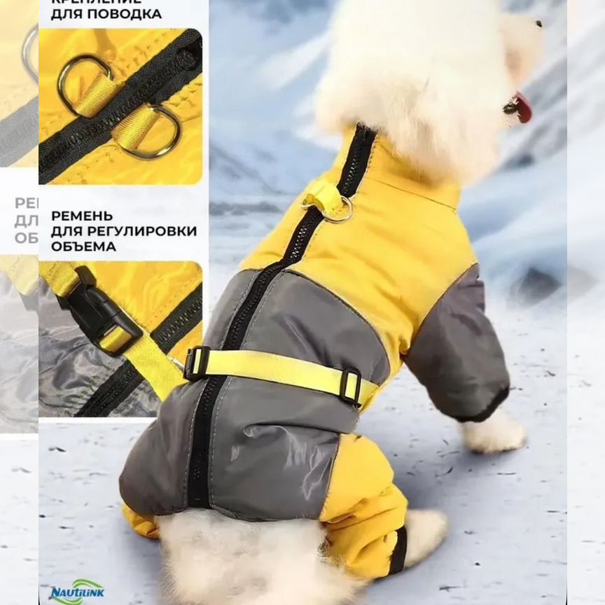 Одежда для собак