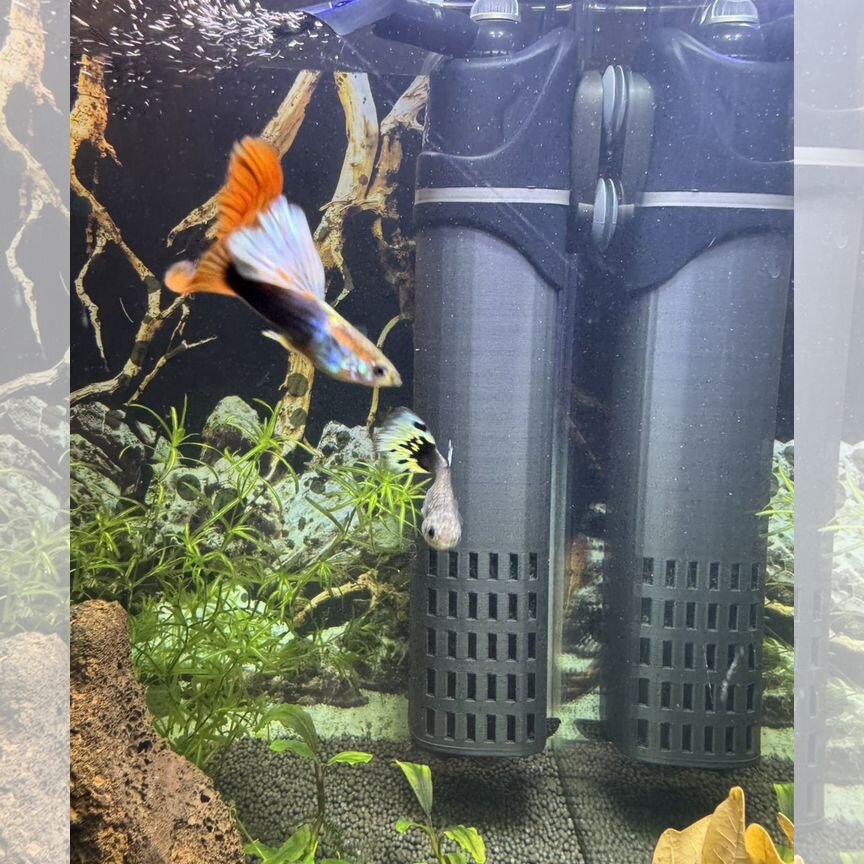 Аксессуары для аквариума