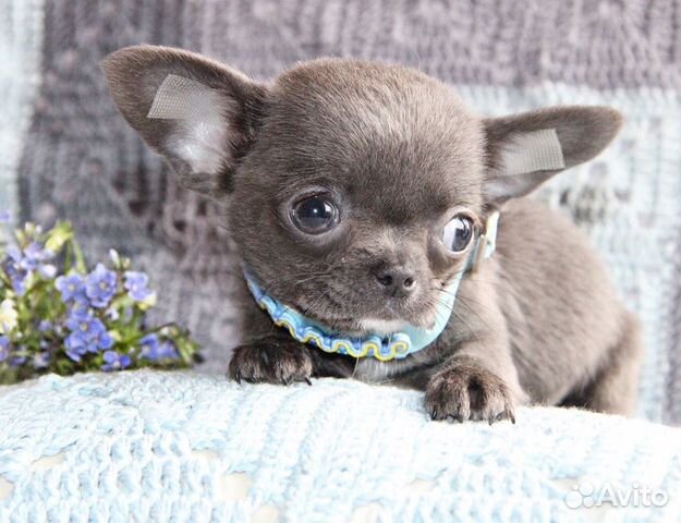 Мальчик с пальчик