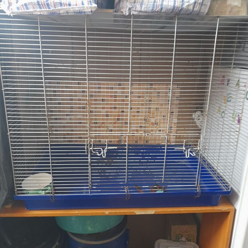 Клетка