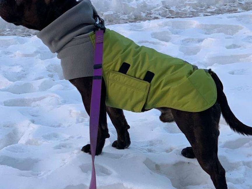 Попона демисезонная