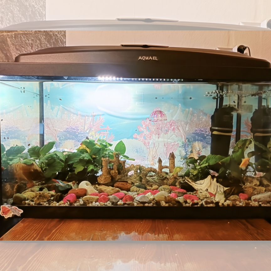 Аквариум