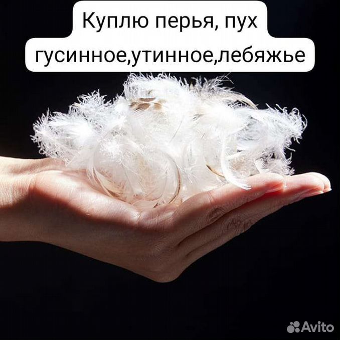 Пух перо птицы
