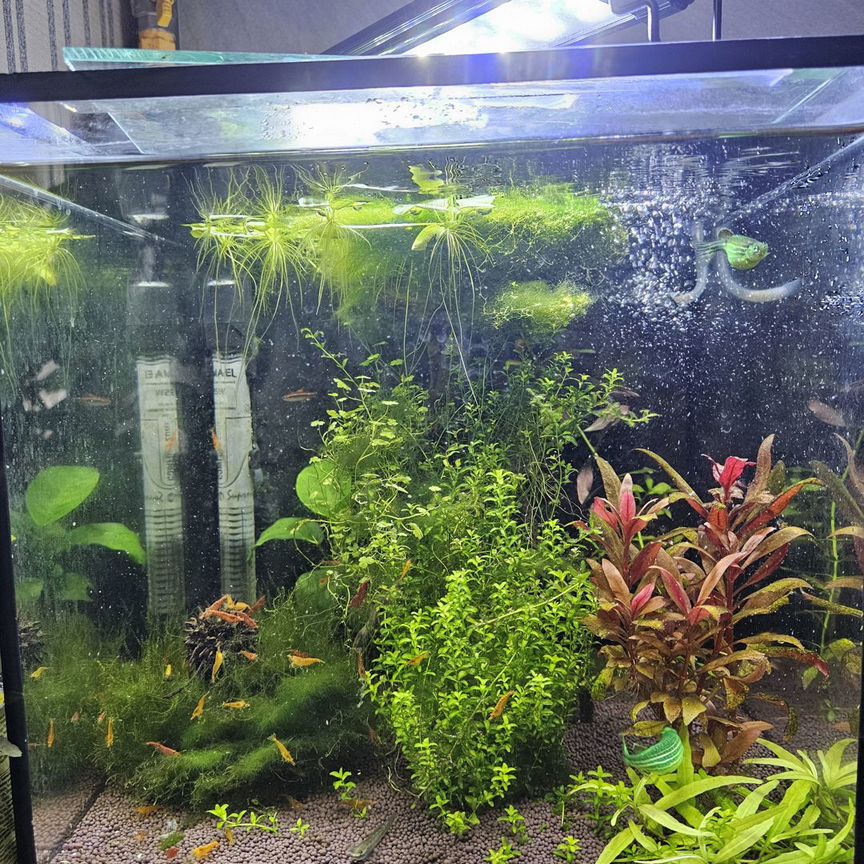 Аквариум 30 литров куб