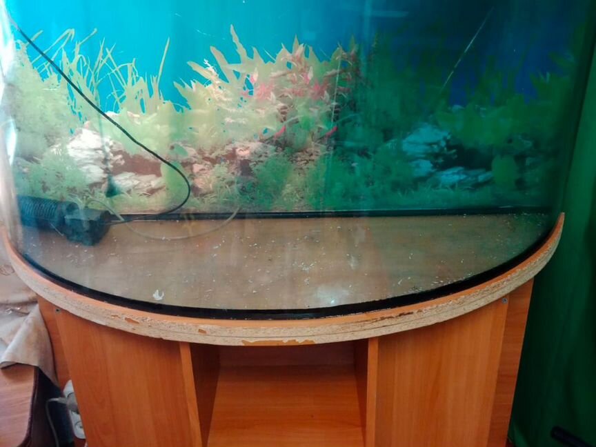 Аквариум с тумбой на 150 л. круглый (полусфера)