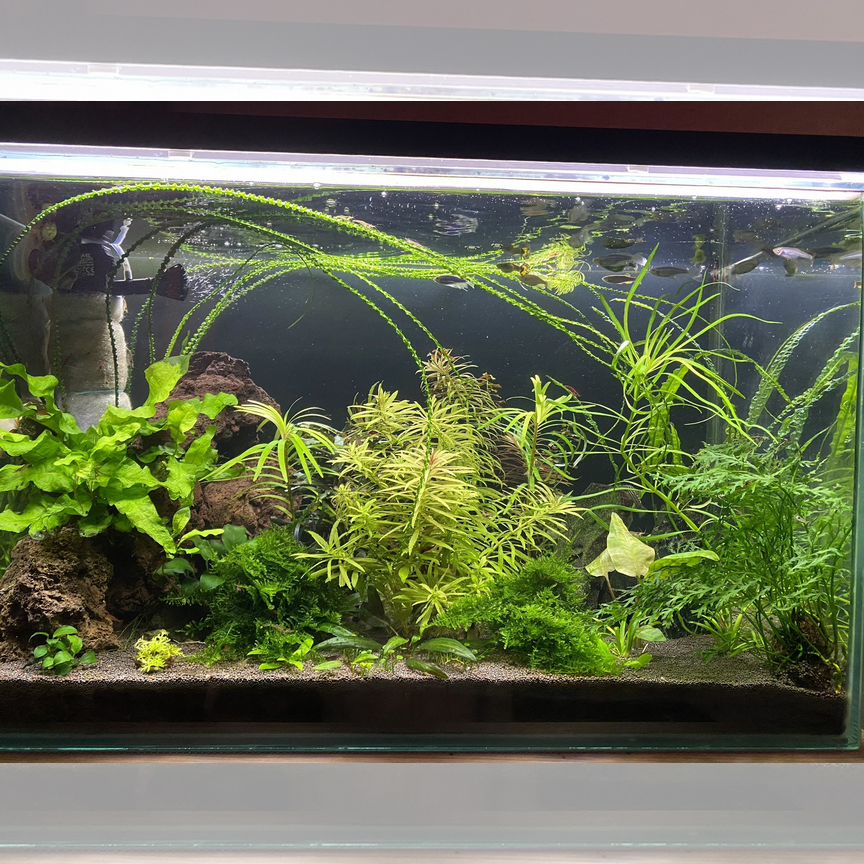 Аквариум 80л