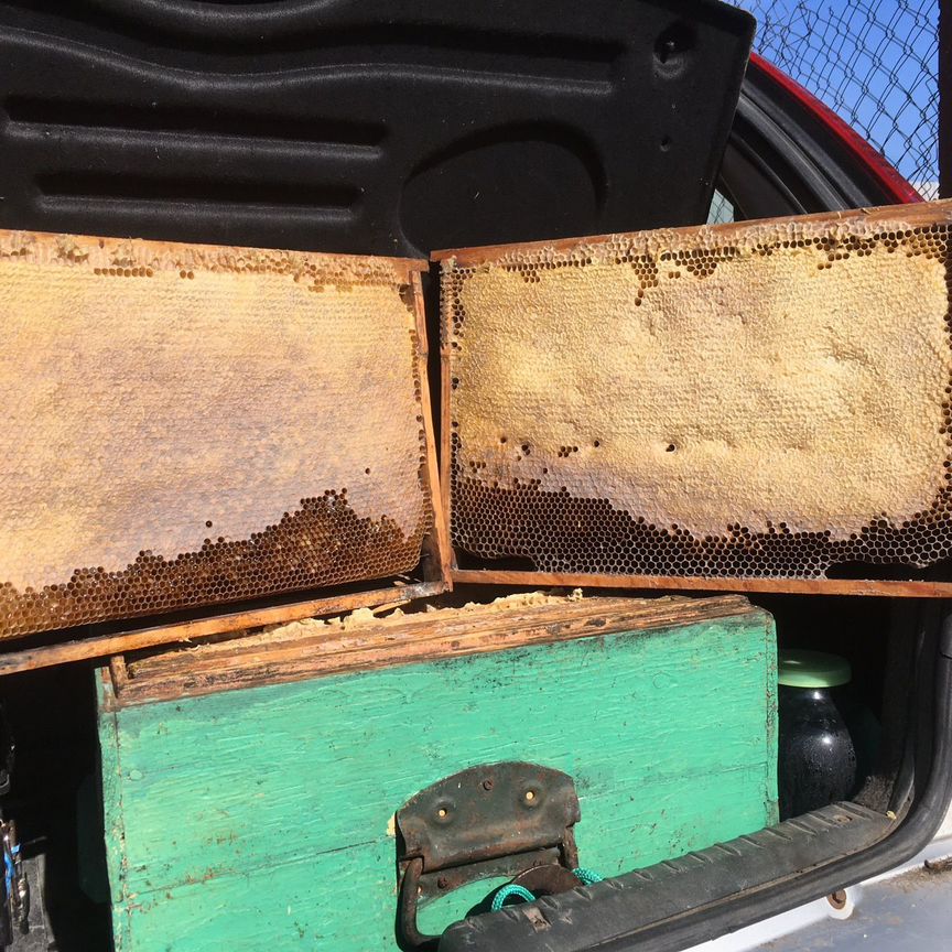 Рамки с медом дадан