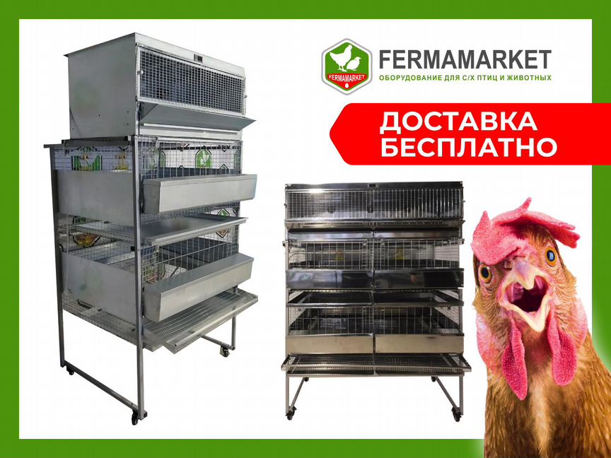 Клетки бройлеров, кур-несушек Людиново