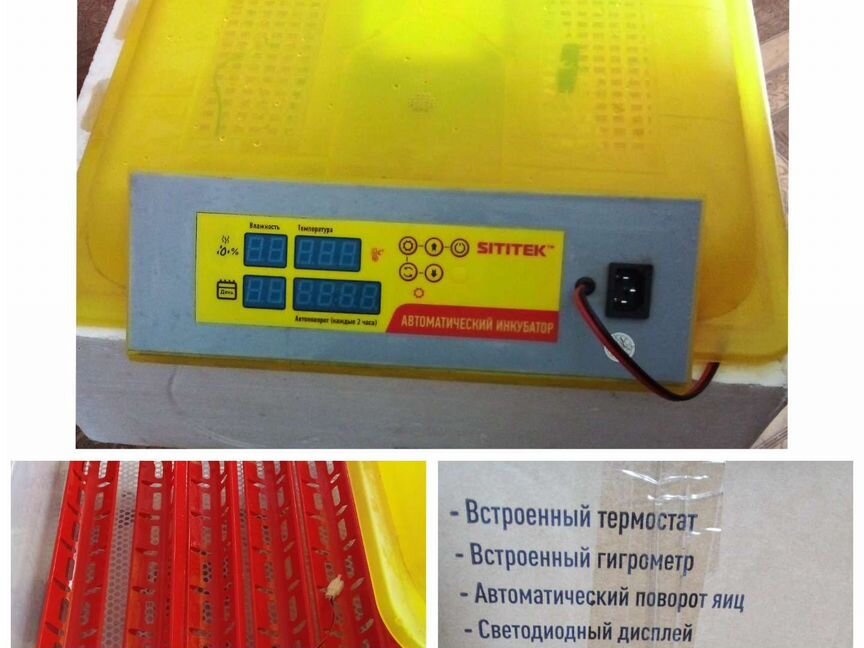 Автоматический инкубатор