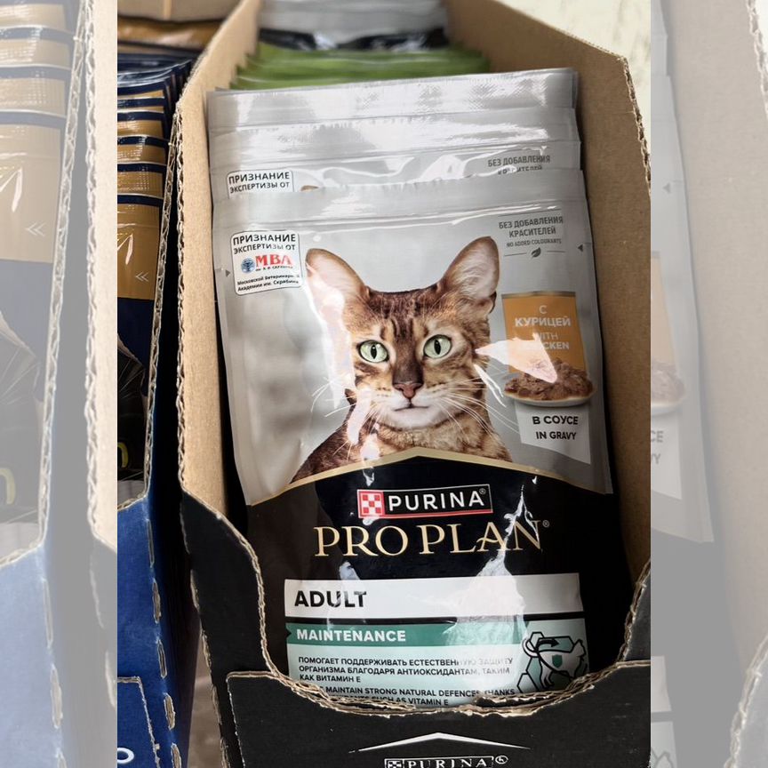 Влажный корм для кошек pro plan