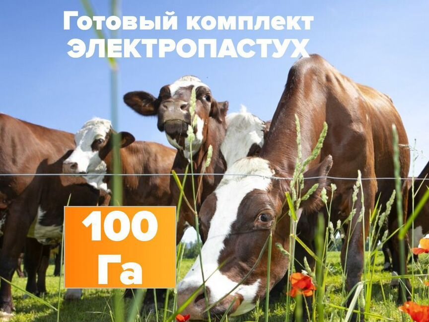 Комплект электропастух 100 Га