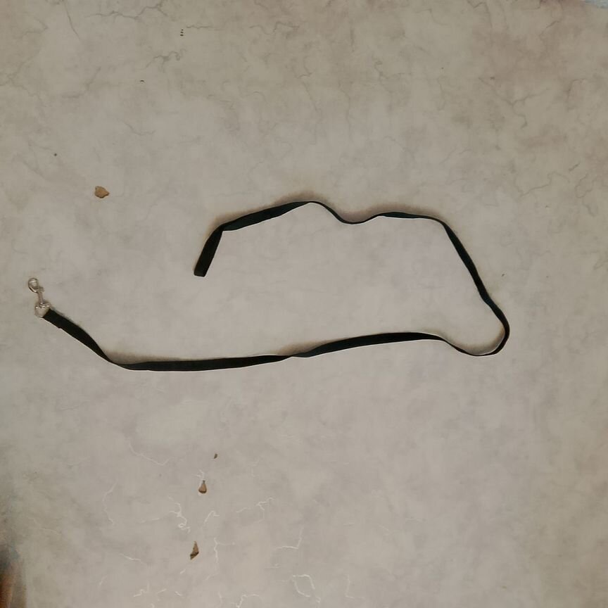 Ошейник и поводок для щенка