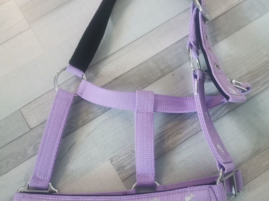 Недоуздок на пони