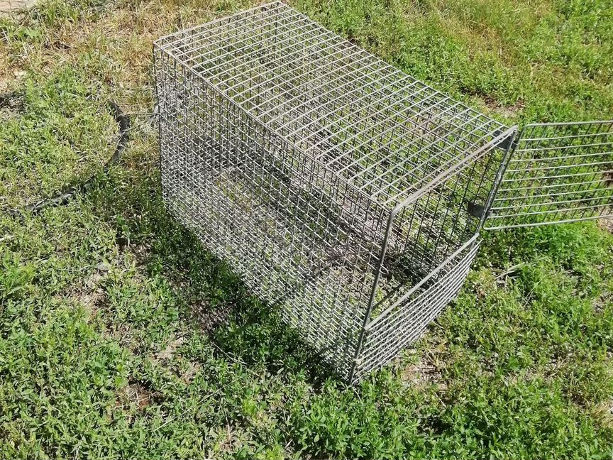 Небольшие клетки для птицы и кроликов