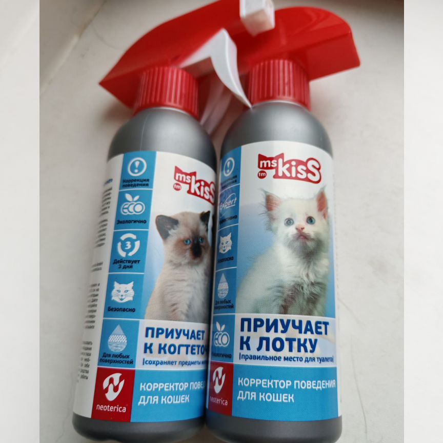 Набор для котят