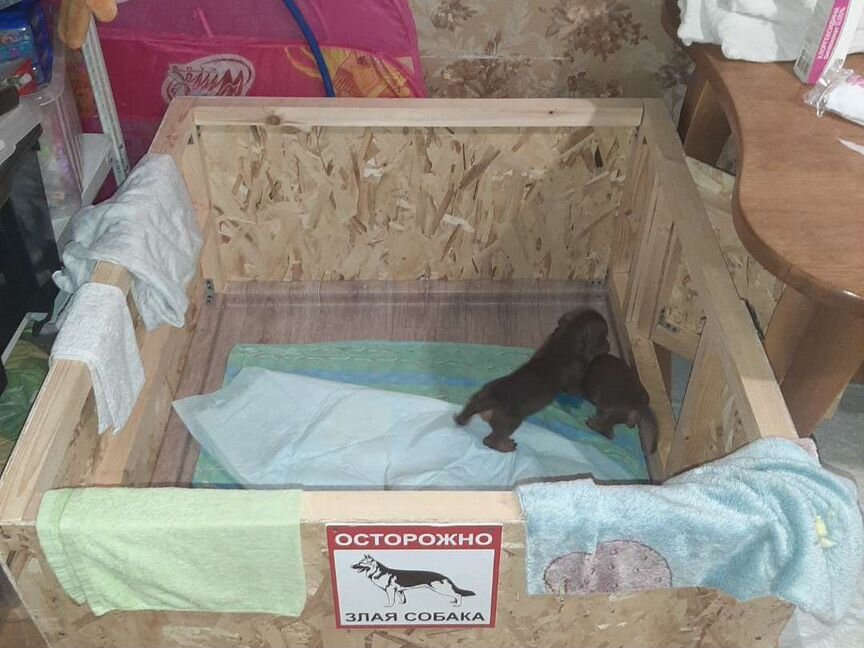 Вольер для щенков в квартиру