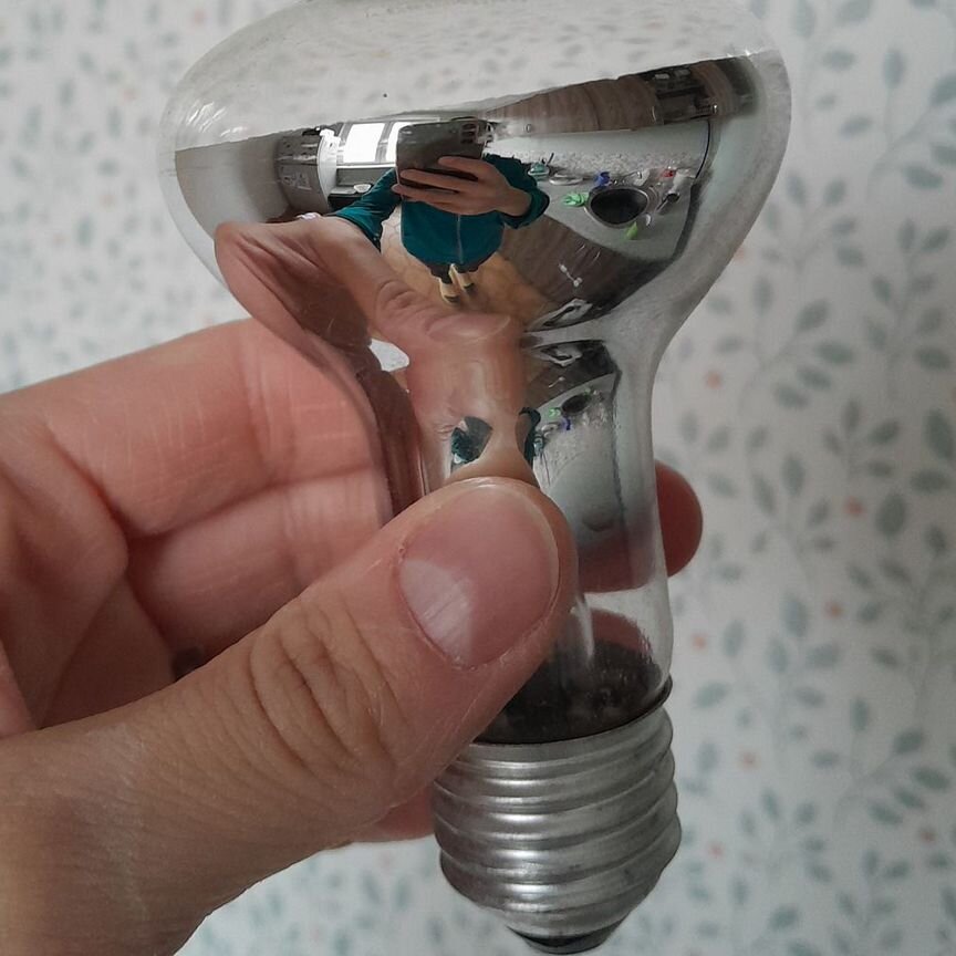 Лампы и термометр для черепахи