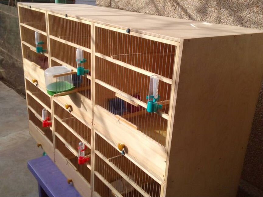 Боксы для декоративных птиц