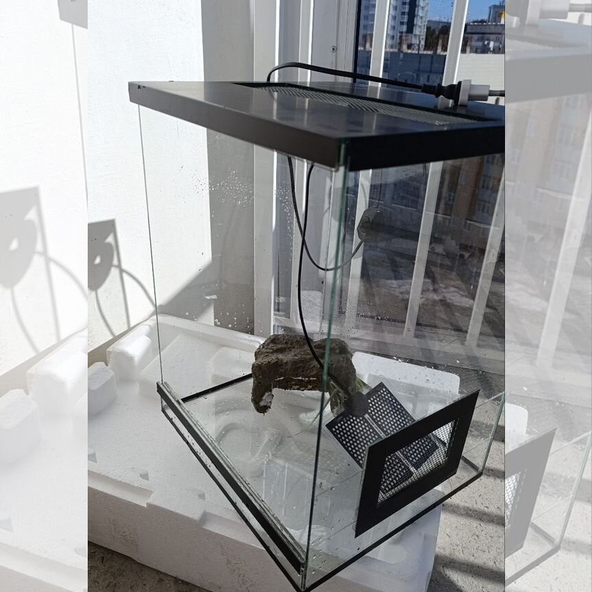 Комплект Террариум 40л., домик, терморегулятор