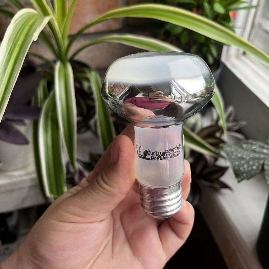 Лампа обогрева для терратиума lucky reptile