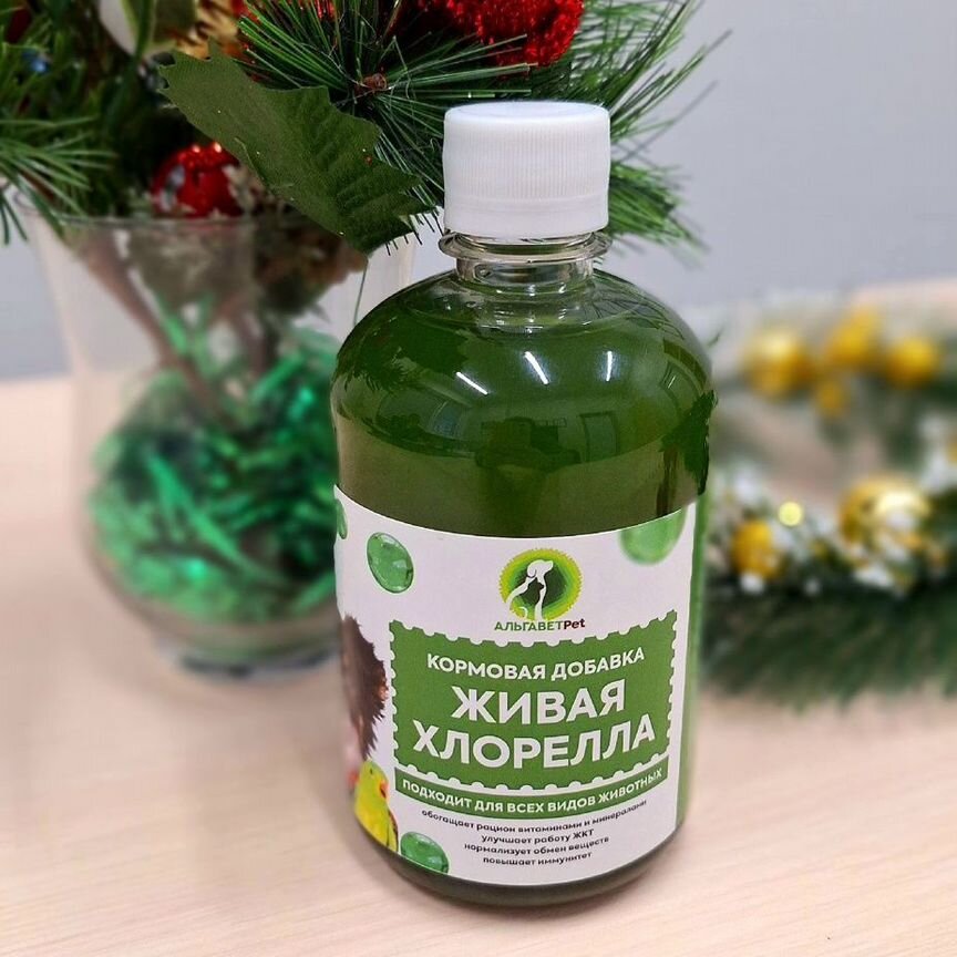 Питьевая хлорелла