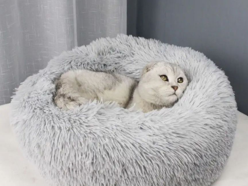 Лежанка новая