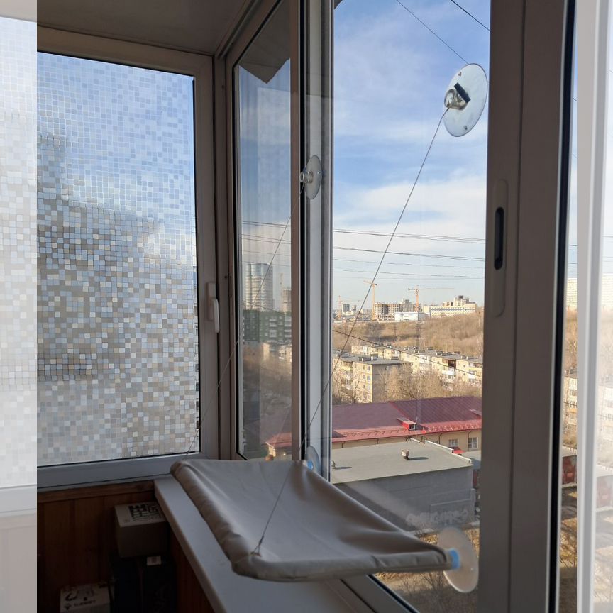 Гамак для кошек