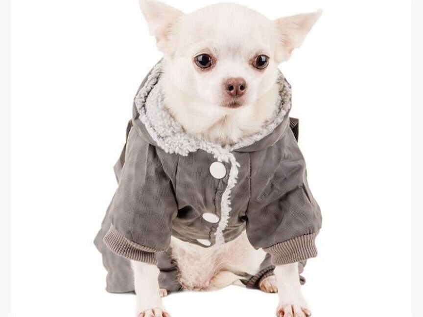 Комбенизон Petmax