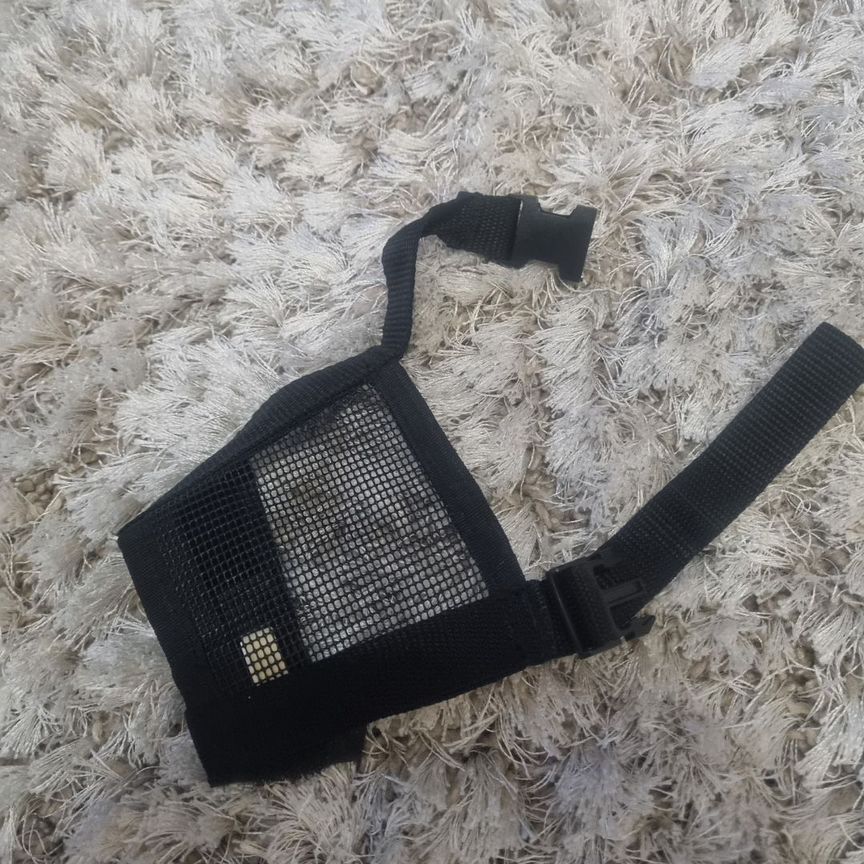 Намордник для собак