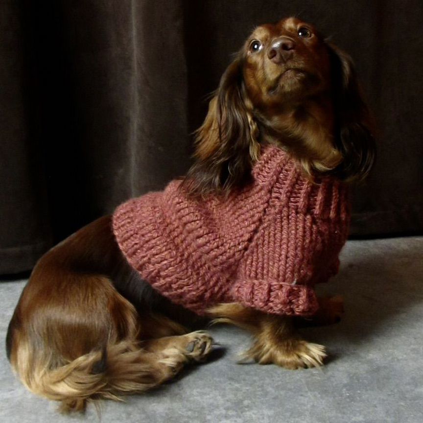 Свитер для маленькой собачки на заказ