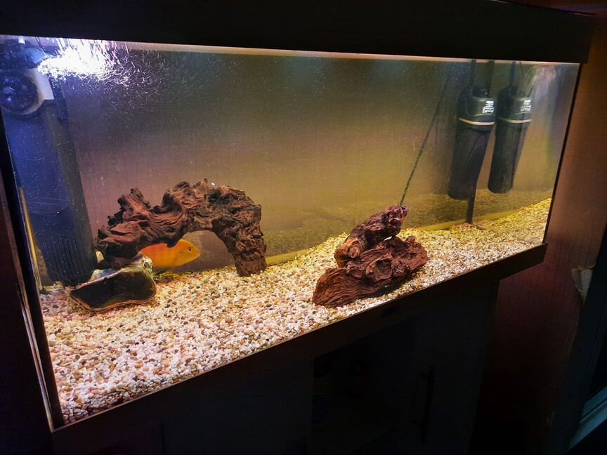 Аквариум с тумбой juwel 180