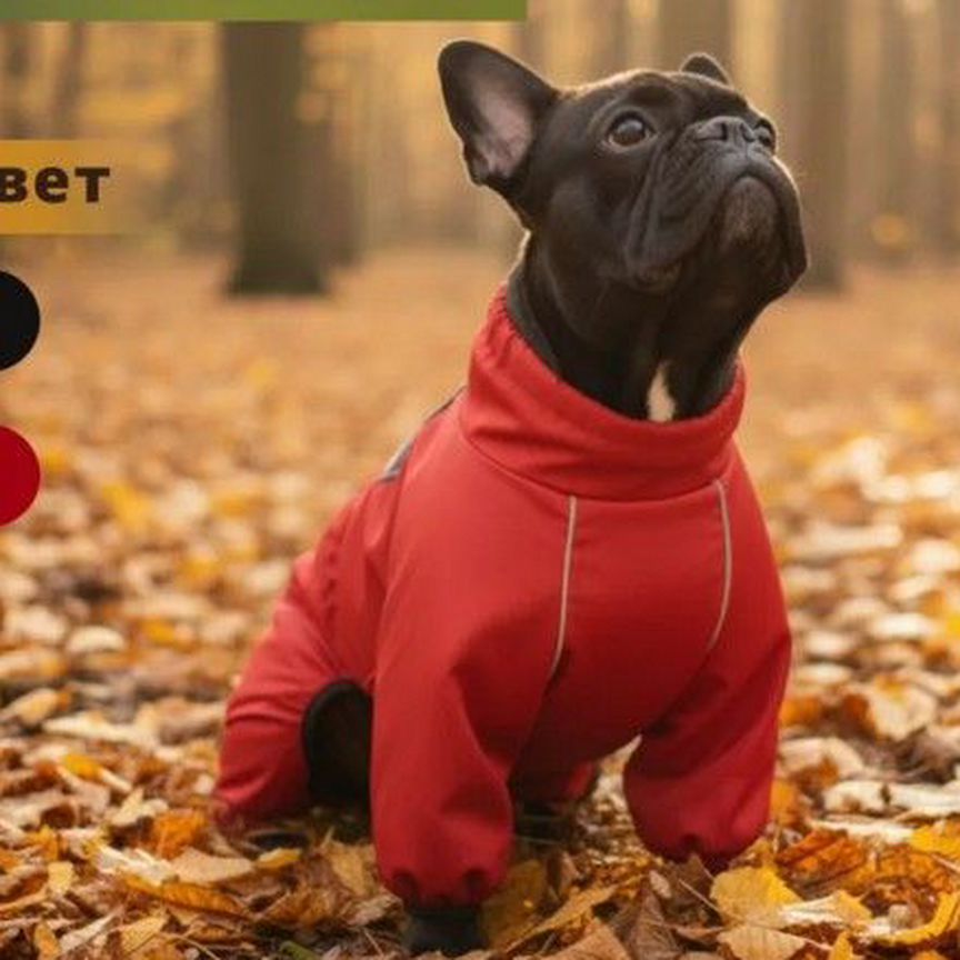 Демисезонный комбинезон для собак средних пород