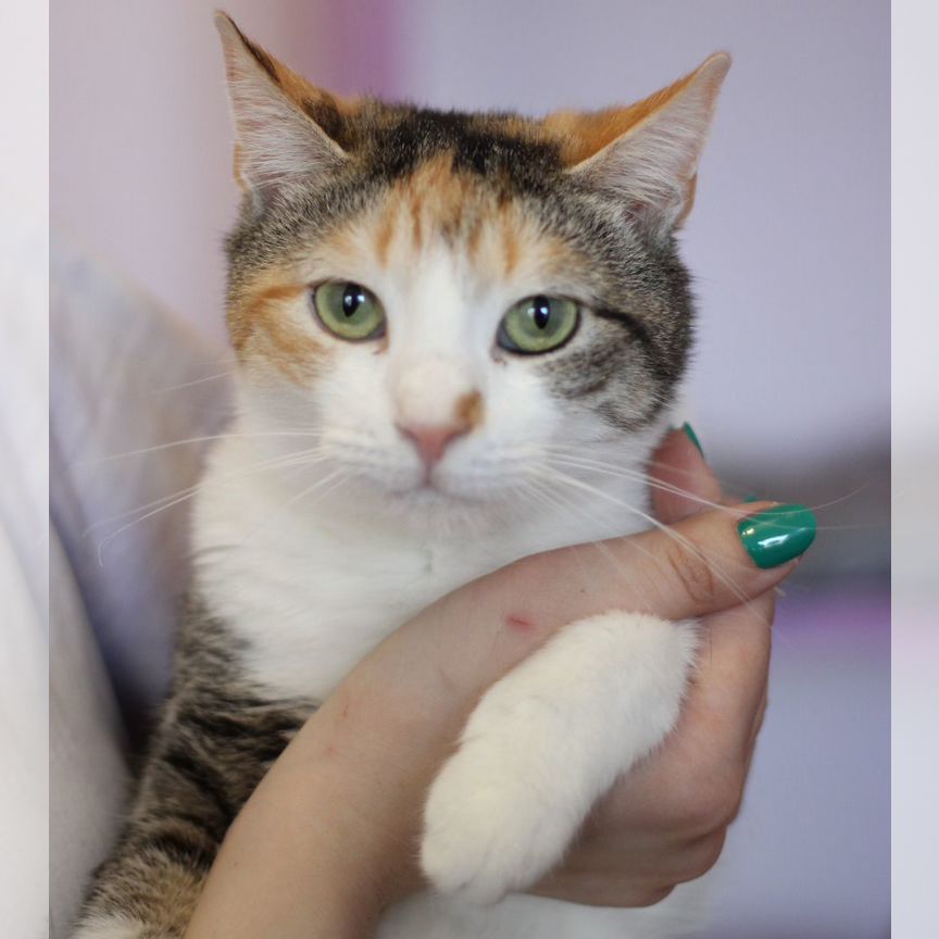 Красивая девочка (из приюта)