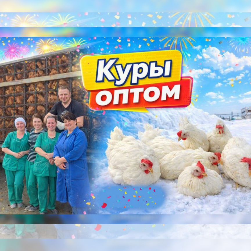 Перевозка кур уток гусей