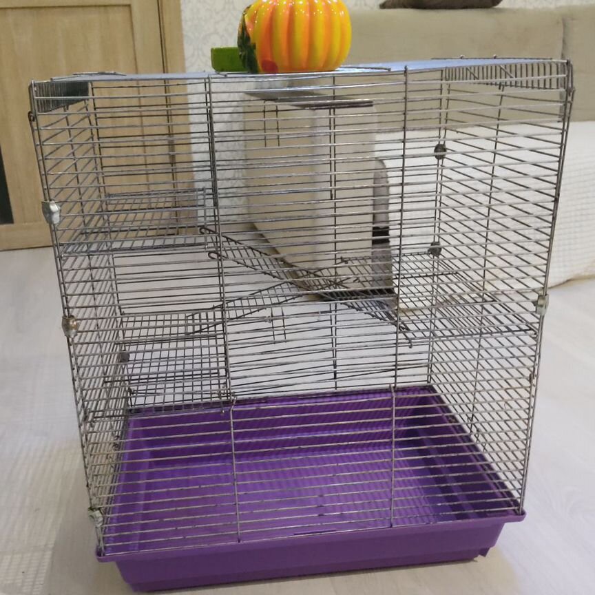 Клетка для грызунов бу